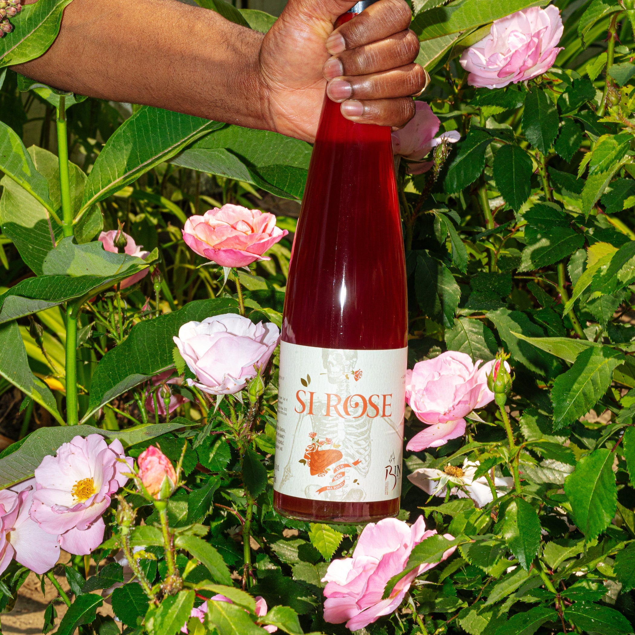Si Rosé | Binner | MYSA Natural Wine