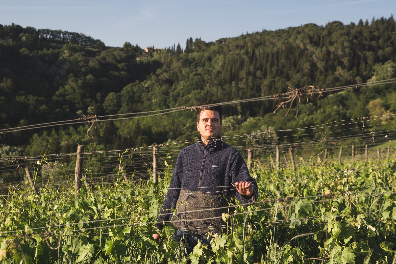 Metamorphika Macabeu Orange | Costador | MYSA Natural Wine