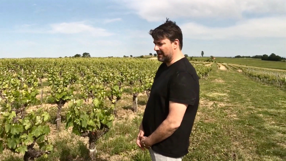 Champêtre | Distillerie Cazottes | MYSA Natural Wine