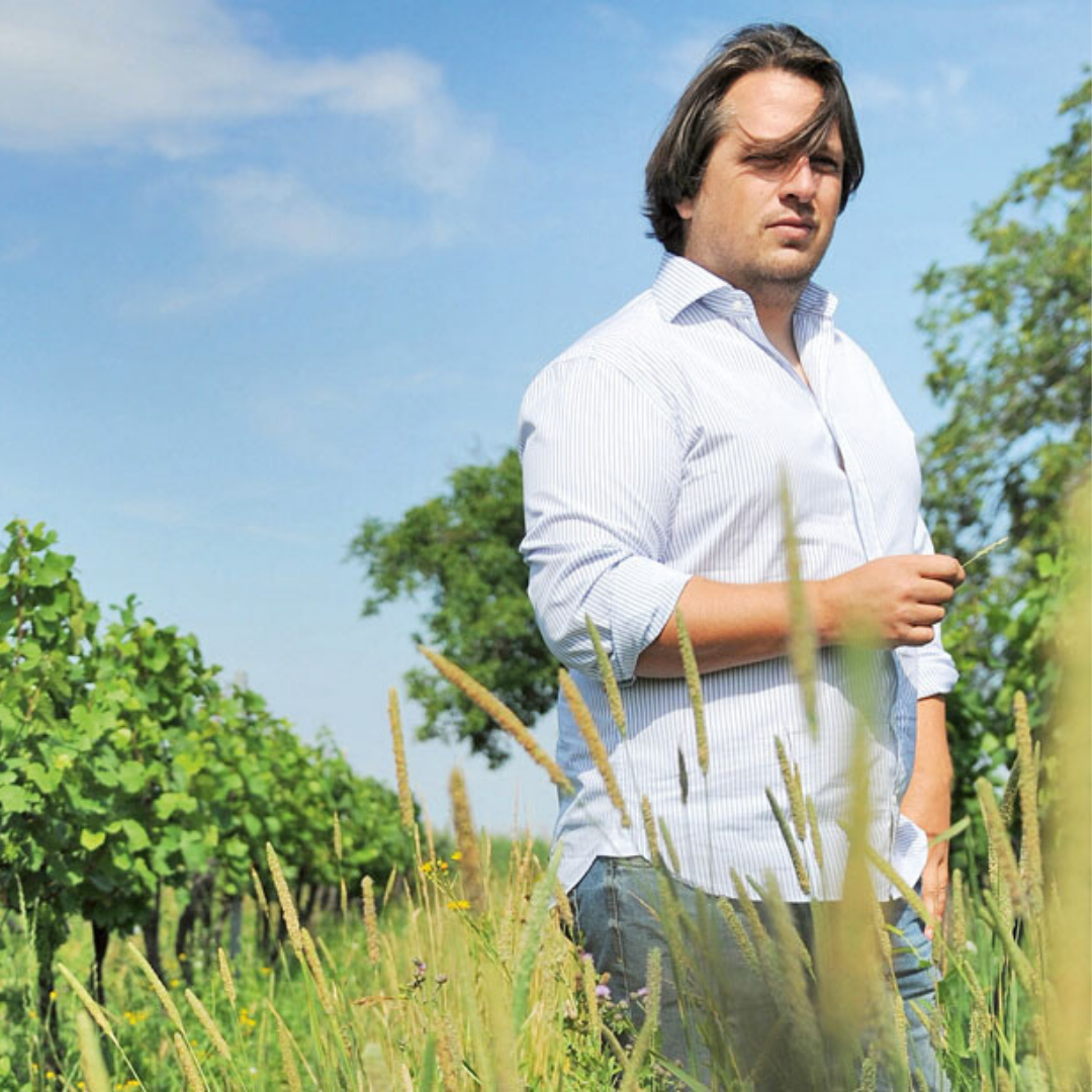 Birdscape | Christian Tschida | MYSA Natural Wine