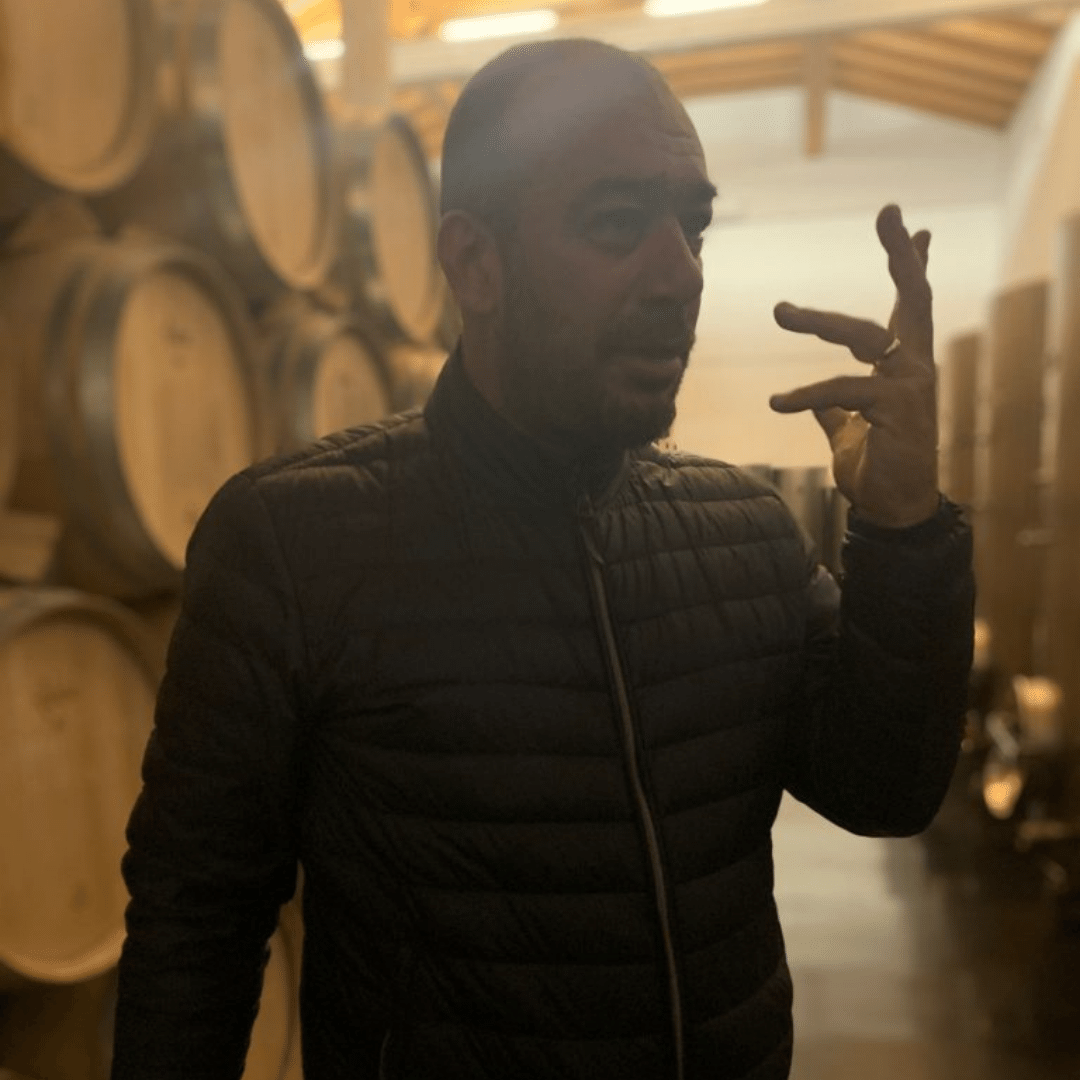 Pinot Sivi Dalmatia White | Bibich | MYSA Natural Wine