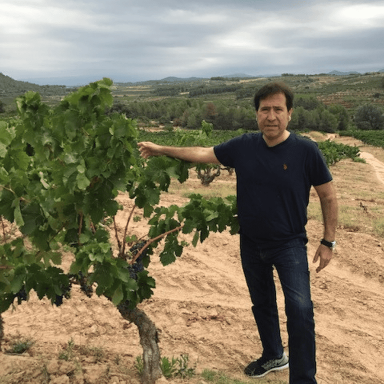 Metamorphika Macabeu Orange | Costador | MYSA Natural Wine