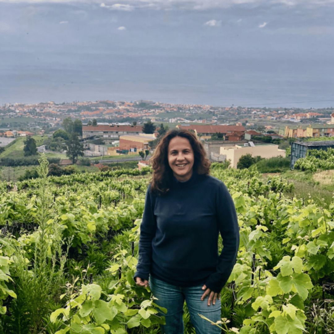 La Araucaria Tinto | Dolores Cabrera | MYSA Natural Wine
