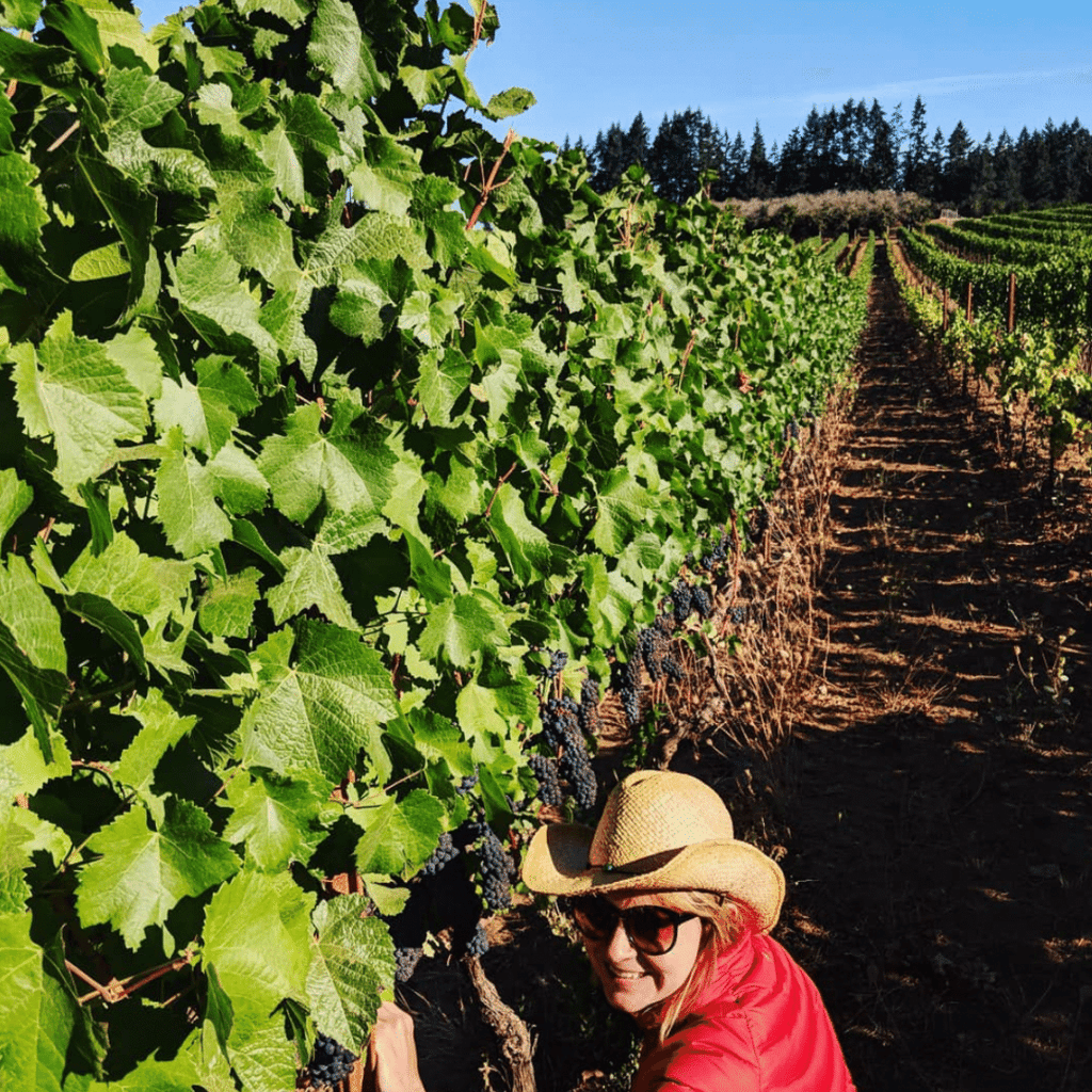 Romeo Red | Loop de Loop | MYSA Natural Wine